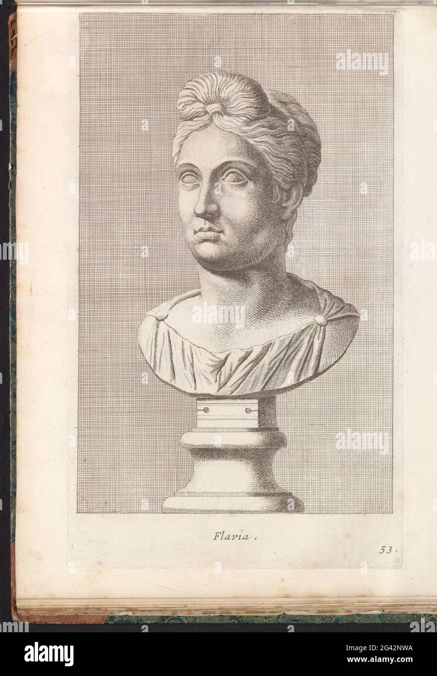 Bust of flavia; Flavia. Classic bust of flavia. She has boned part of ...