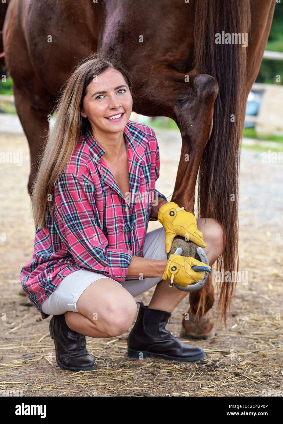 Young woman in shirt crouching as she's cleaning horse hoof with metal ...