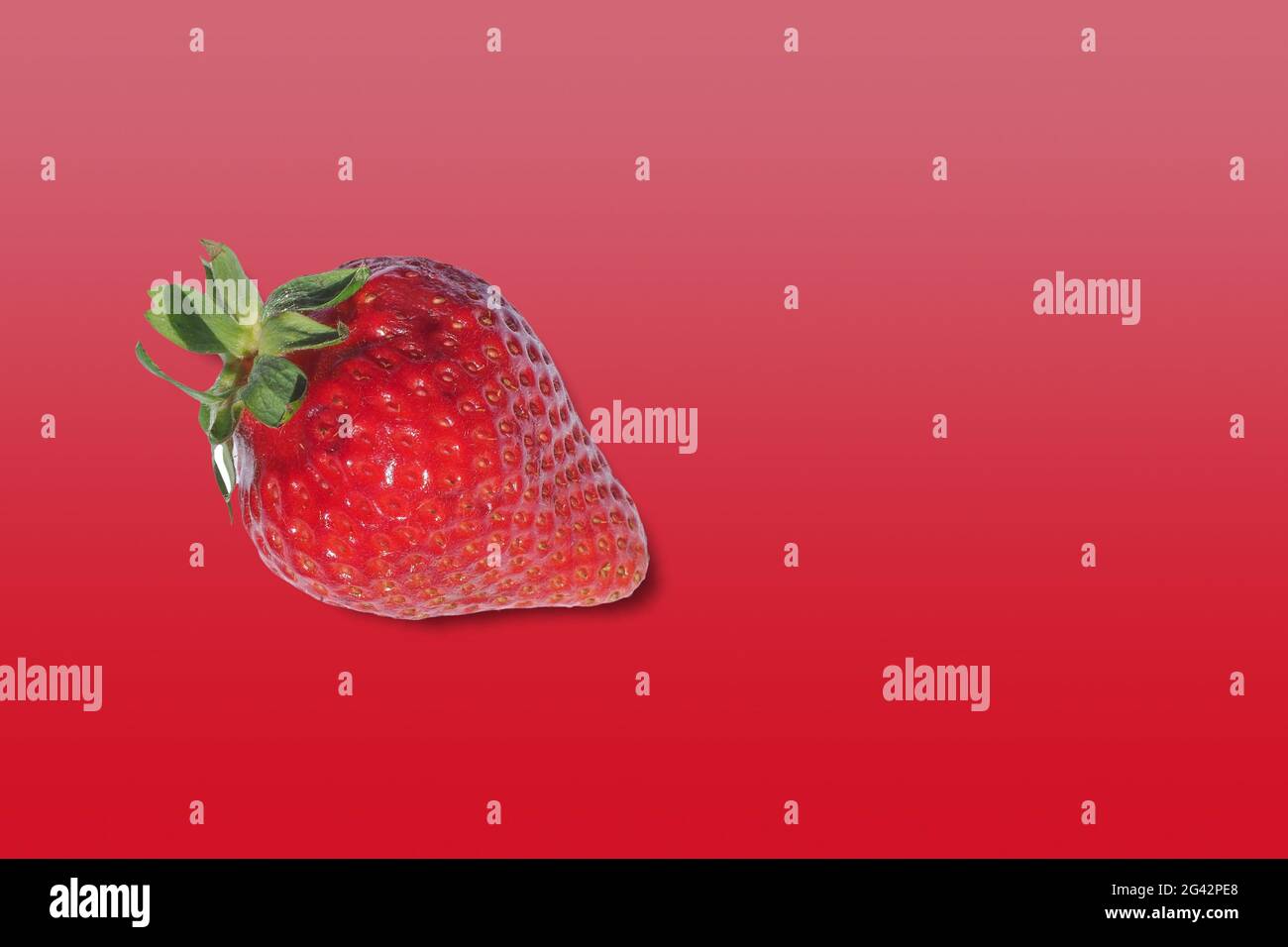 red strawberry fruit over matching colour gradient background with copy ...