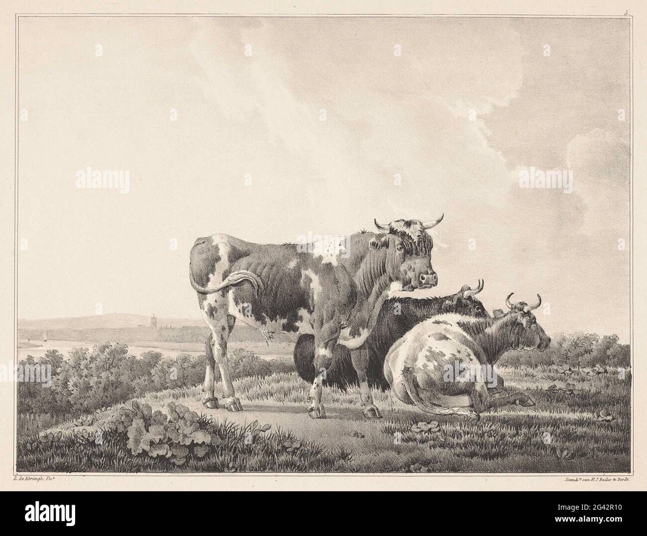 Three cows in a landscape; Six stone drawings by L. de Koningh. One of ...