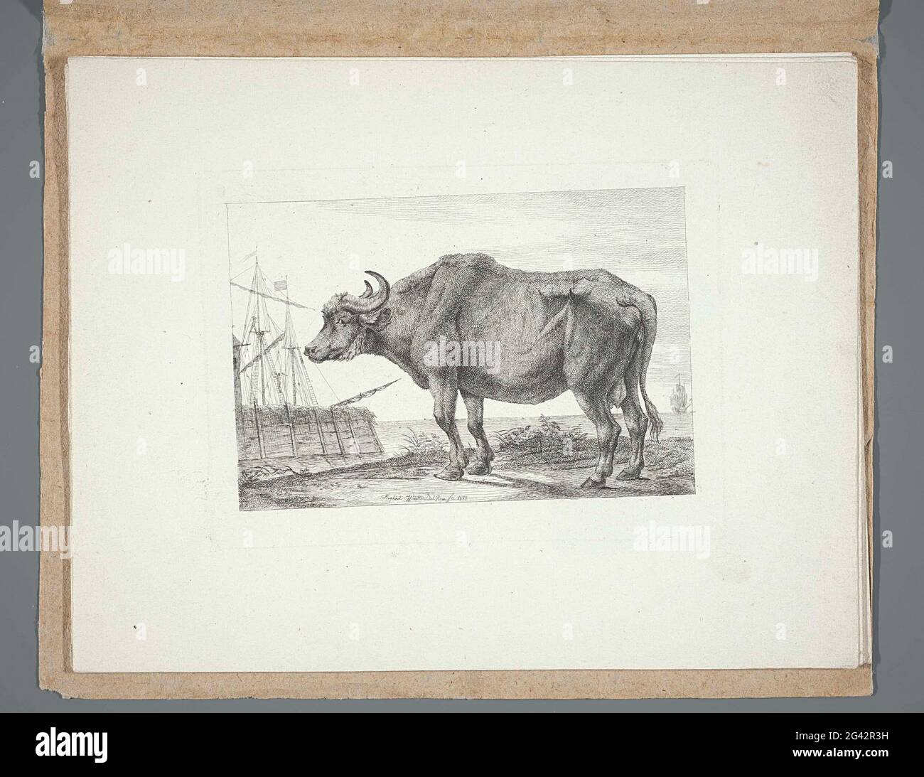 Standing cow with a ship in the background; Zwölf Verschogene bulls ...