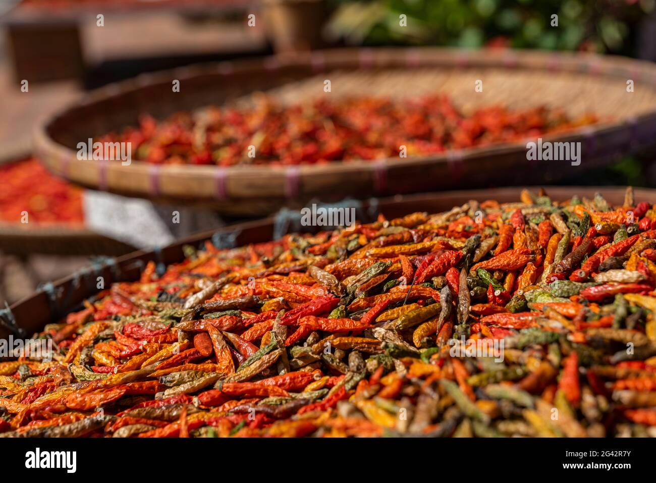 Hot red chillies drying in the sun at the street market, Luang Prabang ...