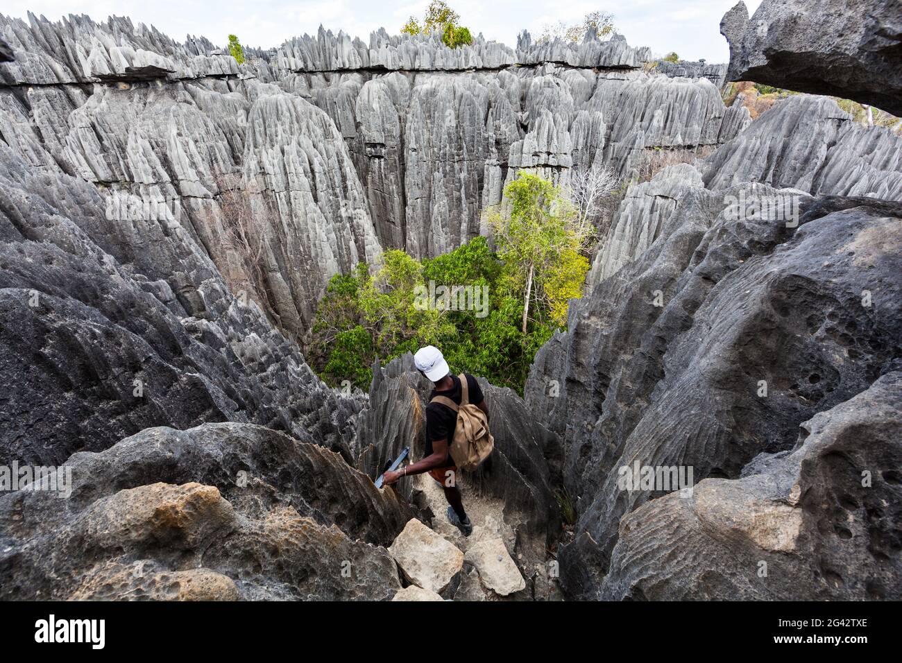 Karst landscape Tsingy de Bemaraha, Tsingy-de-Bemaraha National Park ...