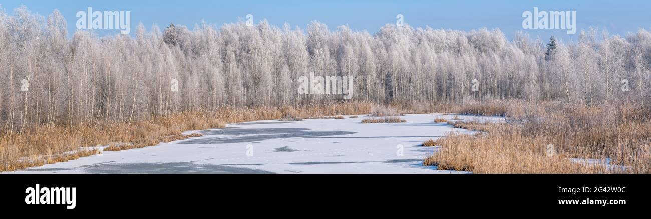 Winter morning in Weilheimer Moos, Bavaria, Germany; Europe Stock Photo ...