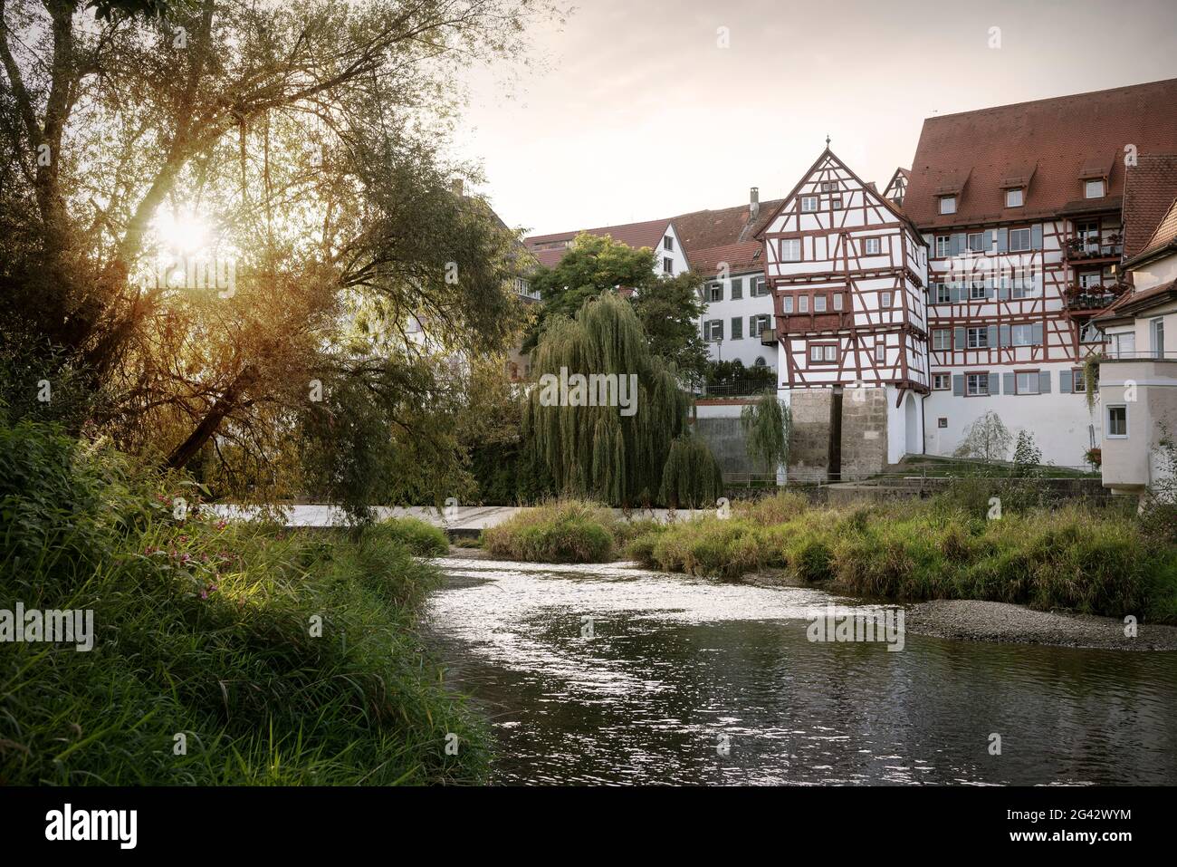 View from Riedlinger Donauinsel to the old town, Riedlingen, Biberach ...