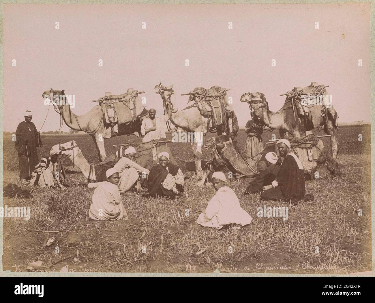 Camel drivers and their animals during rest break; The ChameAux et ...
