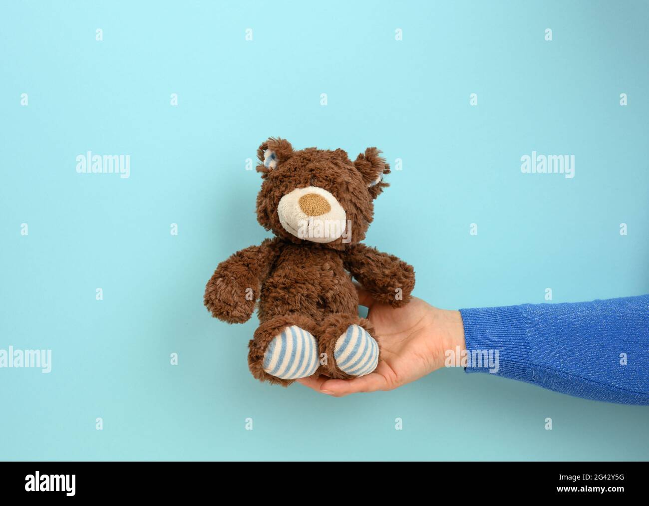 Female hand hold a small brown toy teddy bear Stock Photo - Alamy