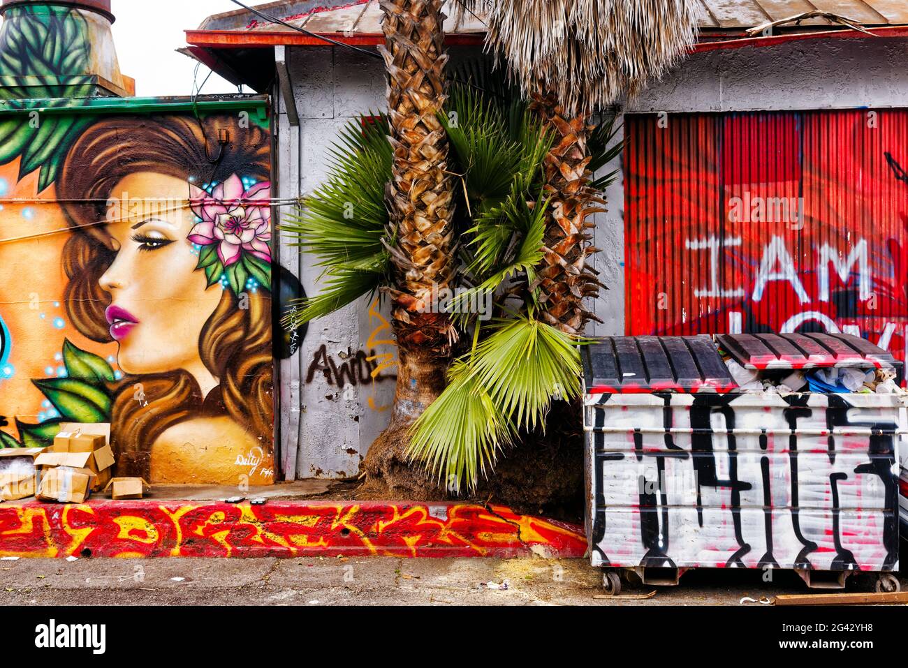 Graffiti on buildings, curb and garbage container, Los Angeles ...