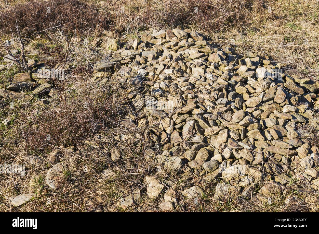 Ma nchberger gneismasse hi-res stock photography and images - Alamy