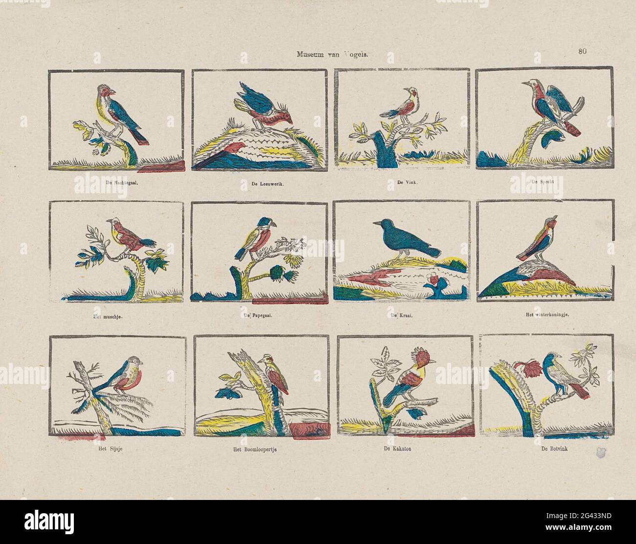 Museum of Birds. Leaf with 12 representations of birds, such as the ...