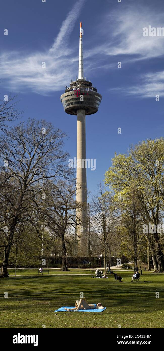 City garden in spring and Colonius telecommunications tower, Cologne ...