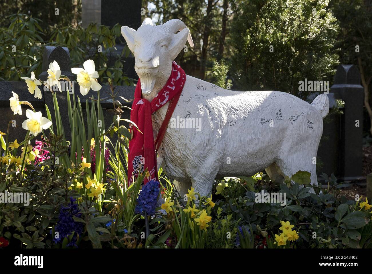 Geissbock Hennes, mascot of 1. FC Koeln on a grave, Melaten cemetery ...