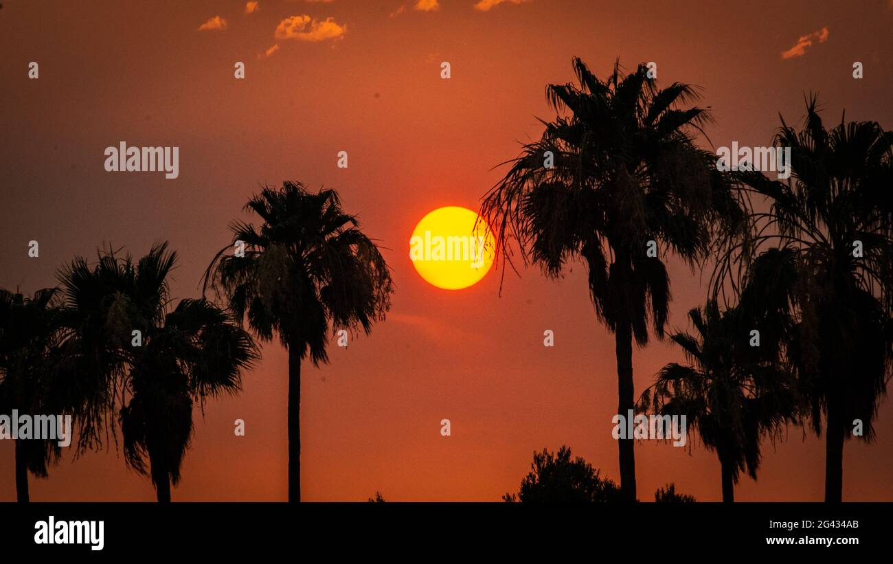 Fire flames in palm hi-res stock photography and images - Alamy