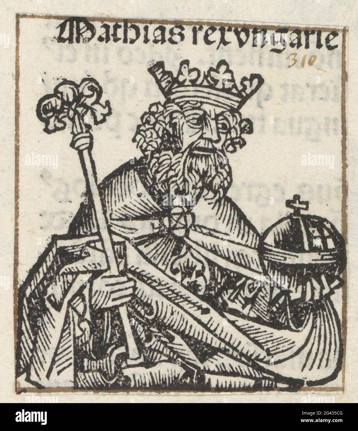 Mathias rex hi-res stock photography and images - Alamy