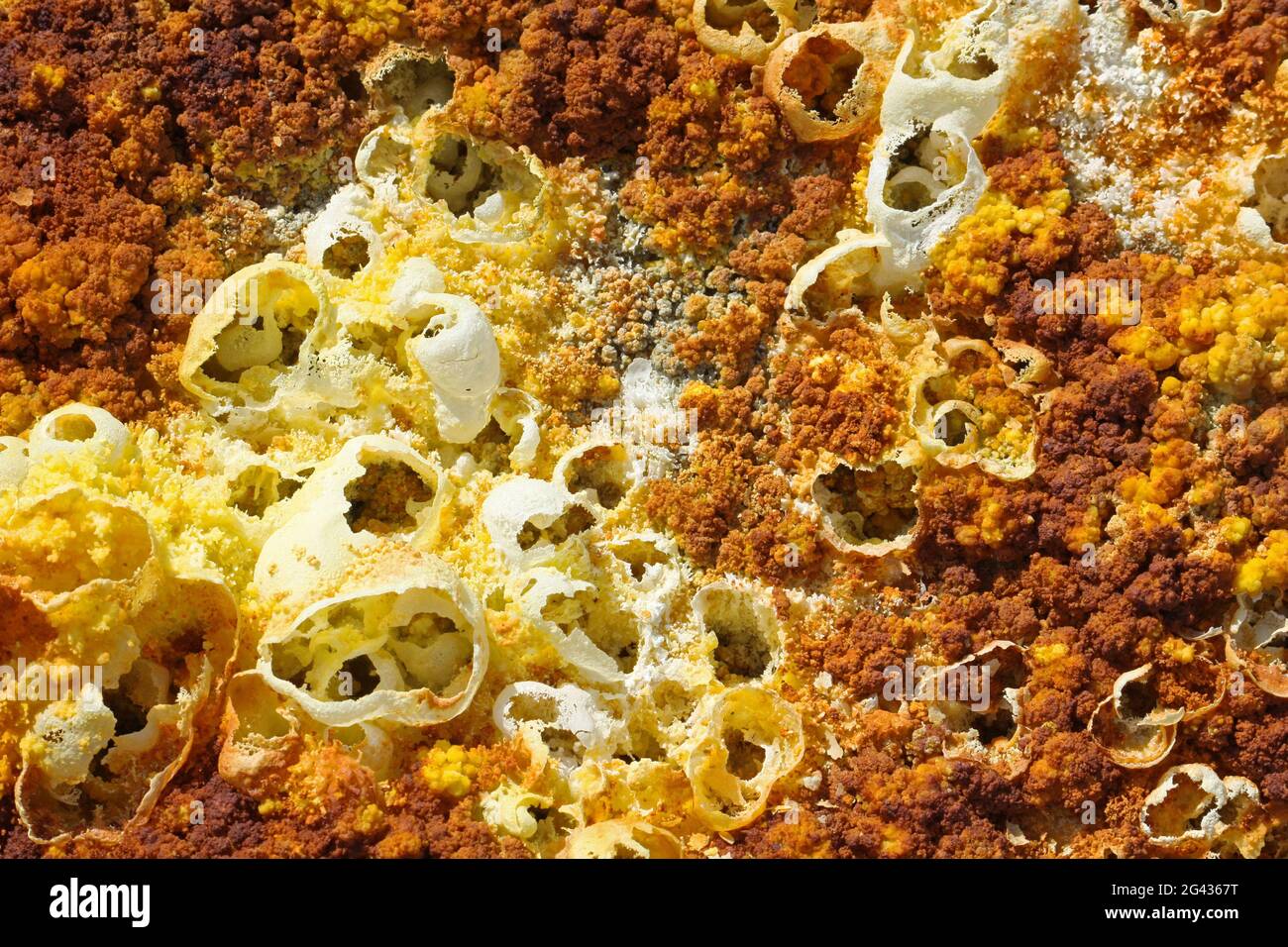 Ethiopia; Afar region; Danakil Desert; Danakil Depression; active ...