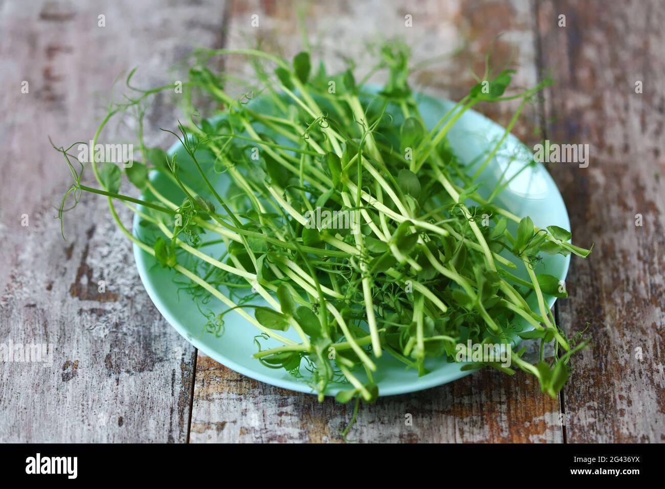 Microgreen on a plate. Superfoods Stock Photo - Alamy