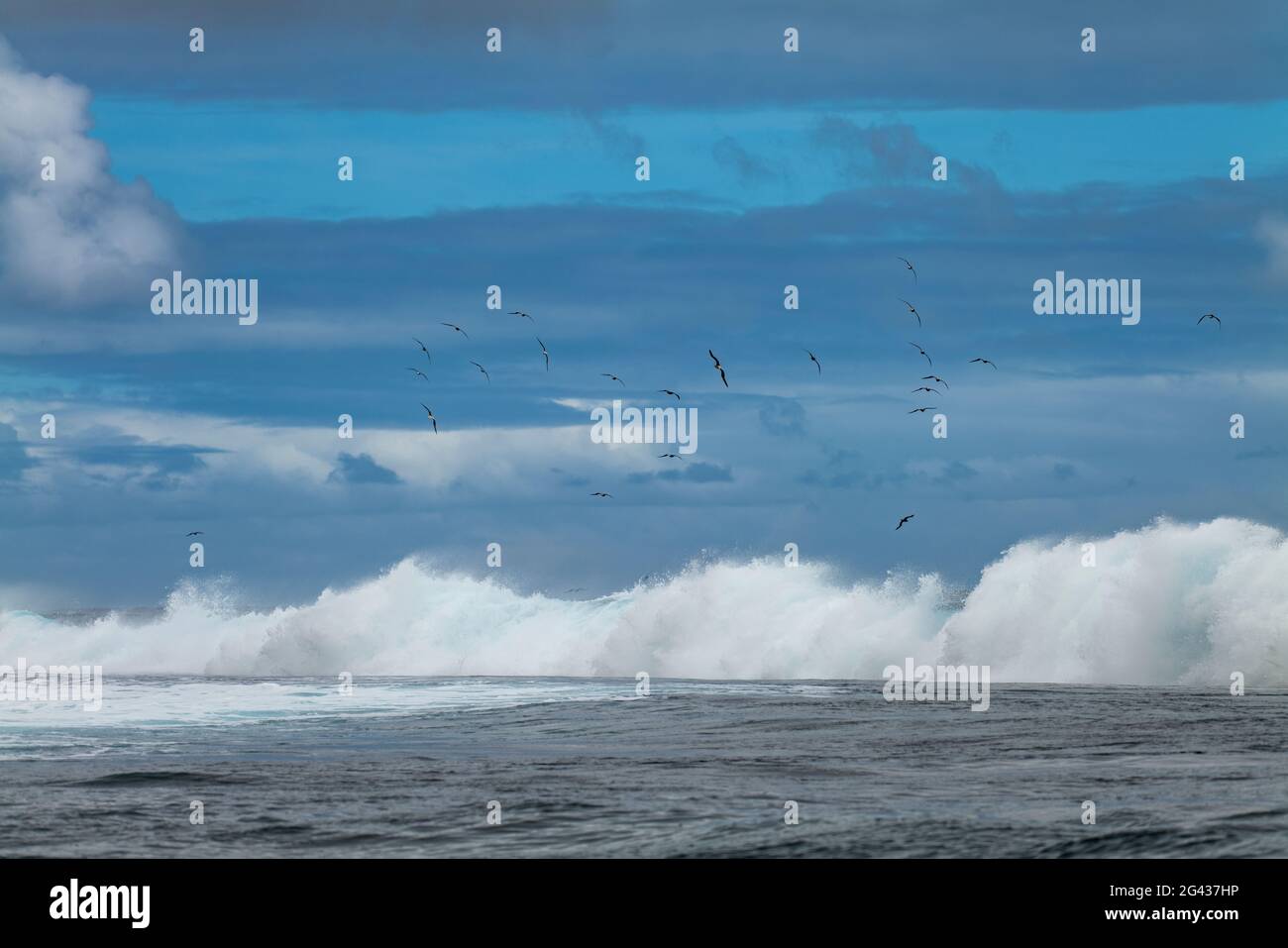 Teahupoo wave hi-res stock photography and images - Alamy