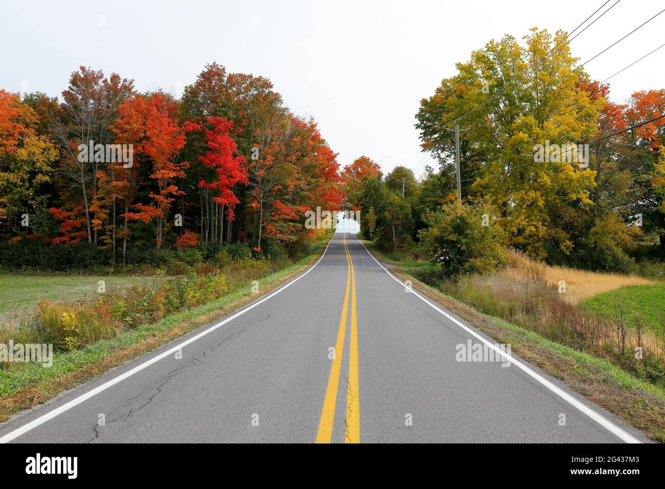 Country road in autumn, Quebec, Canada Stock Photo - Alamy