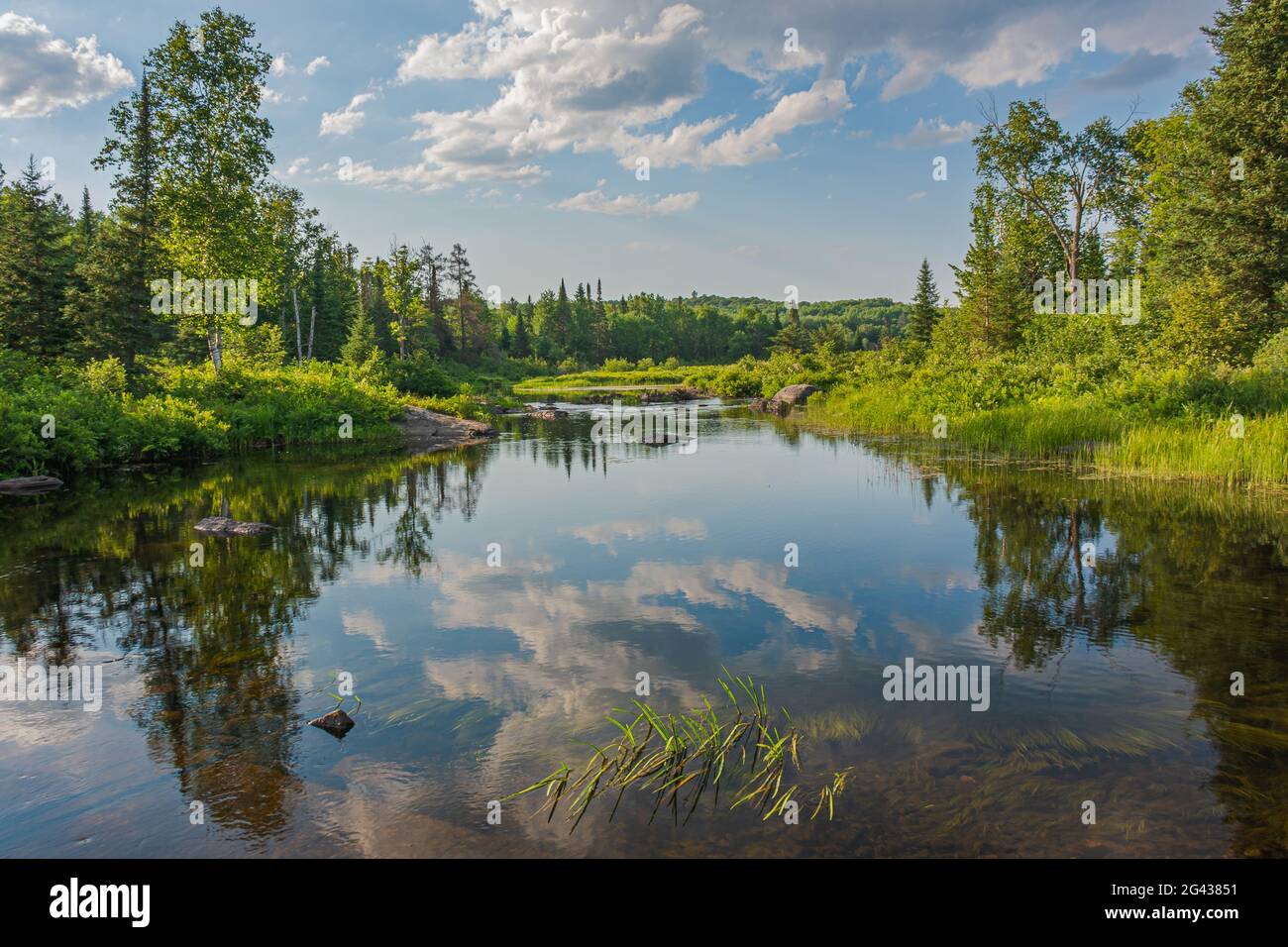 Summer canadian forest lake hi-res stock photography and images - Alamy