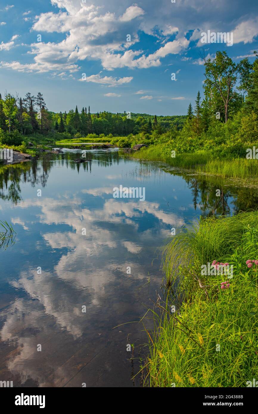 Canadian Cottage Lake scene Stock Photo - Alamy