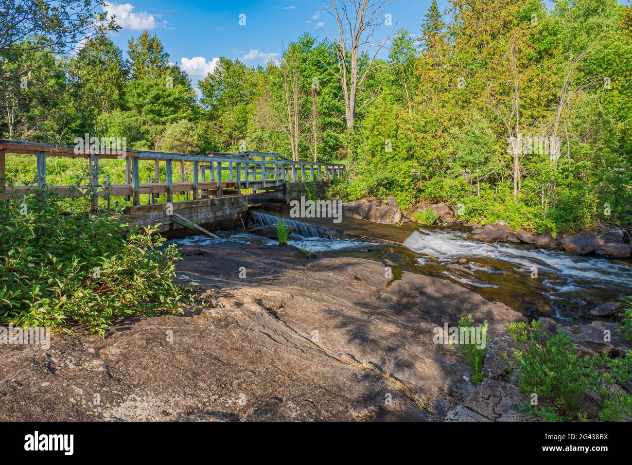 Crooked Slide Park Ontario Canada in summer Stock Photo - Alamy