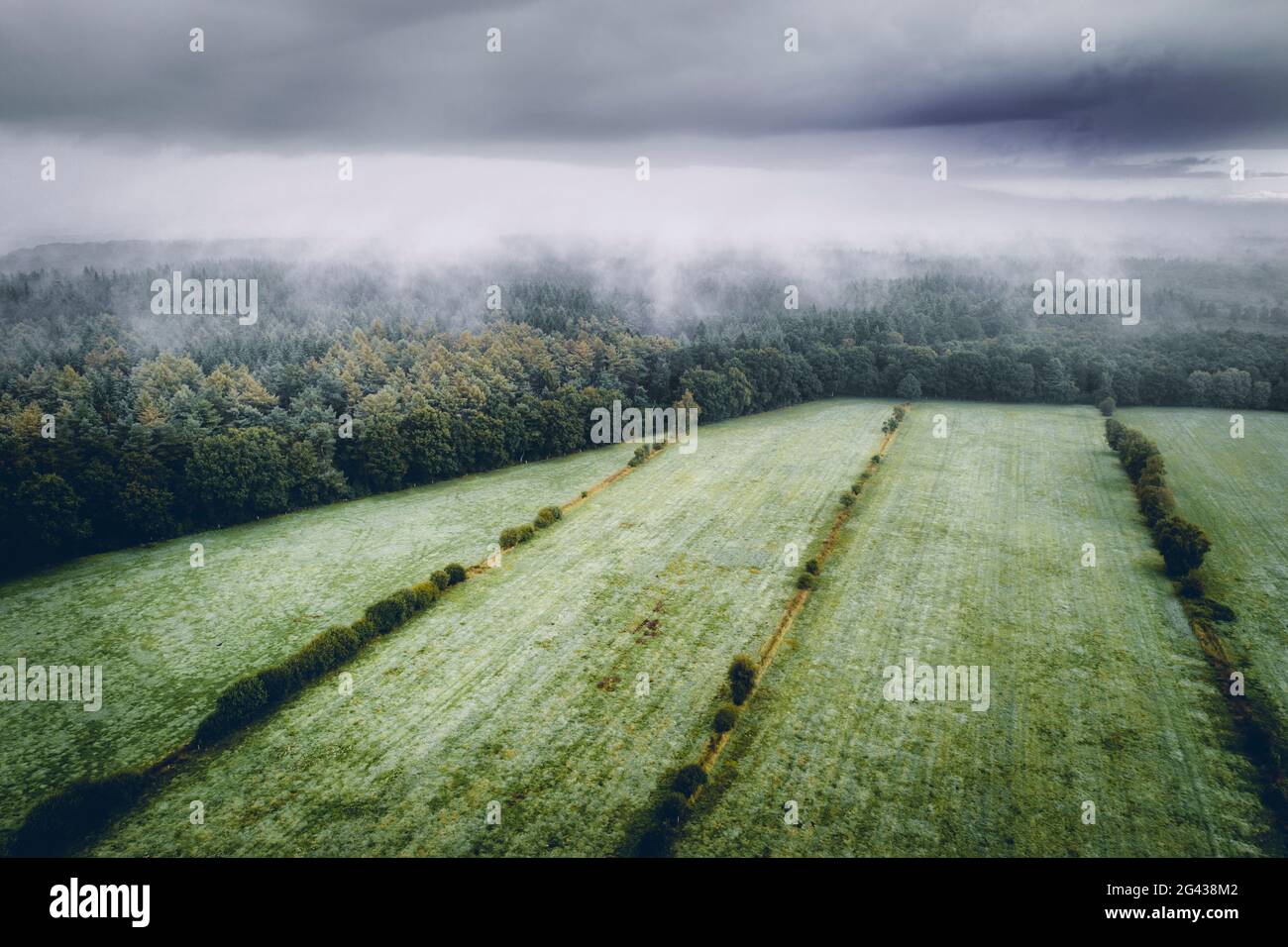 Fields and forest under fog and clouds, aerial view, Wiesede ...