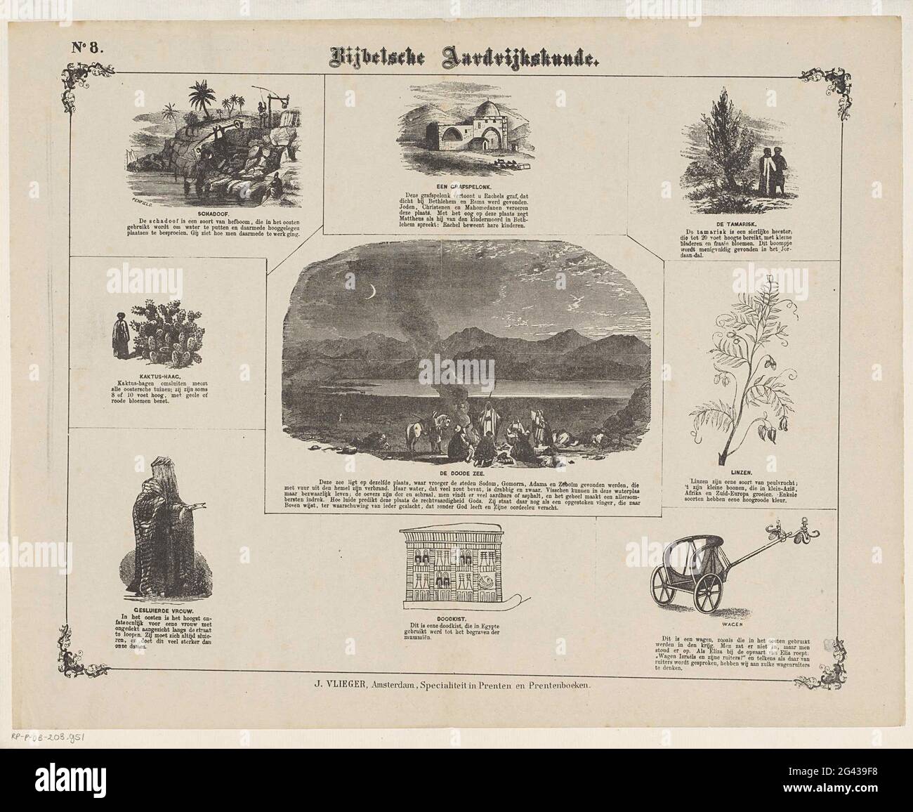 Bible geography. Sheet with 9 performances of objects, plants, a veiled ...