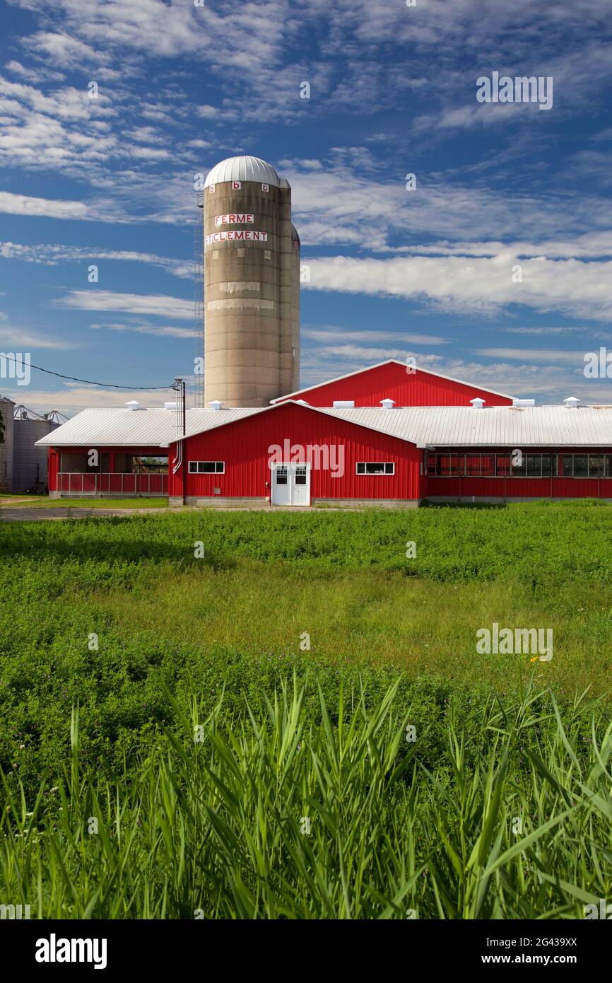 Red Farm in a cornfield, Quebec, Canada Stock Photo - Alamy