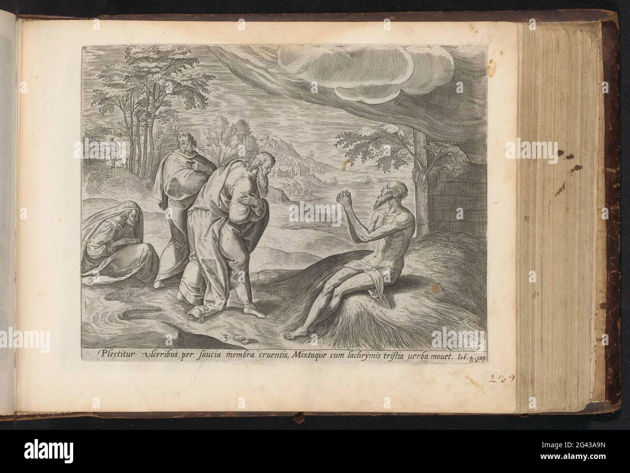 Ash heap of history hi-res stock photography and images - Alamy