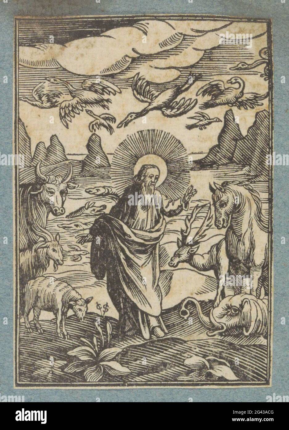 Fifth and sixth creation day: creation of the birds, fish and the land ...