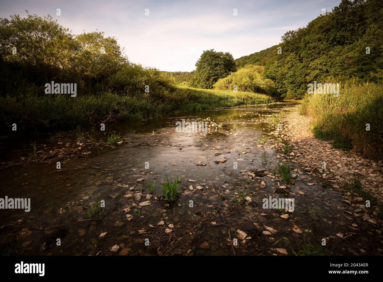 Natural phenomenon of the Danube infiltration between Immendingen and ...