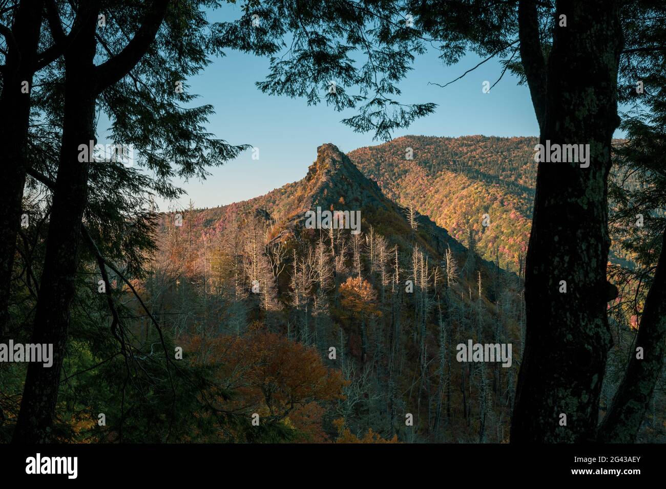 Chimney tops trail hi-res stock photography and images - Alamy