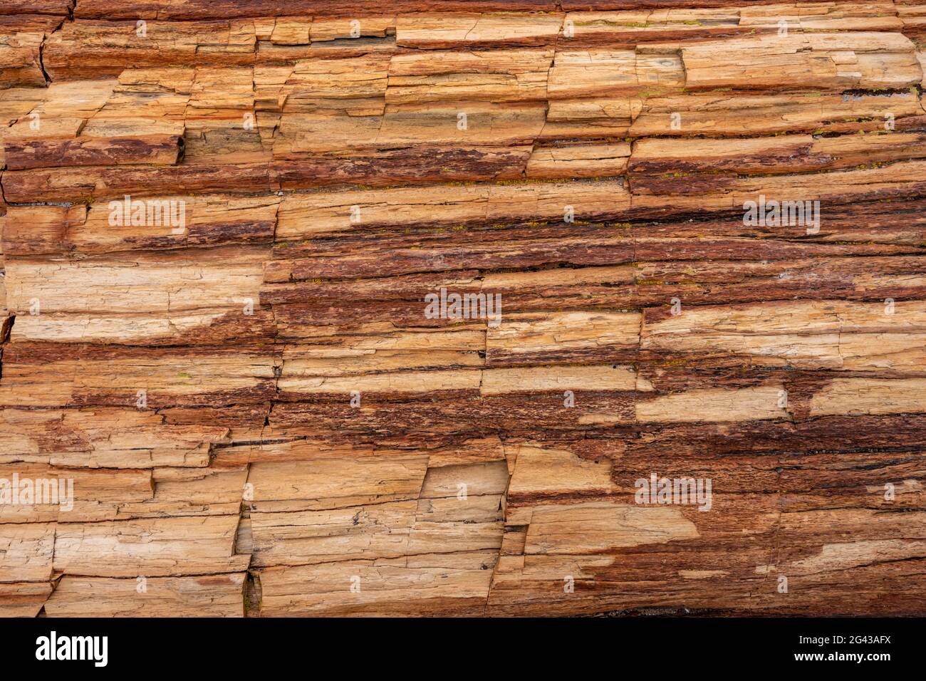 Chipping Rock On Petrified Wood background image Stock Photo - Alamy