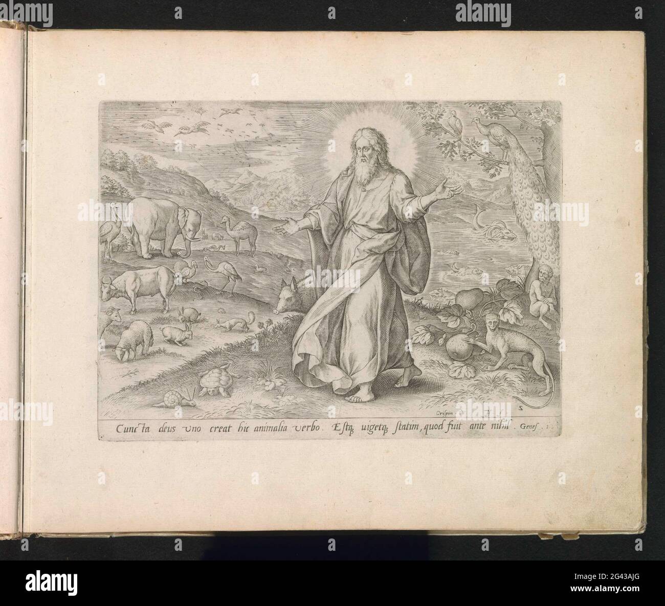 Creation of the animals; Creation and fall; Thesaurus Sacrarum ...