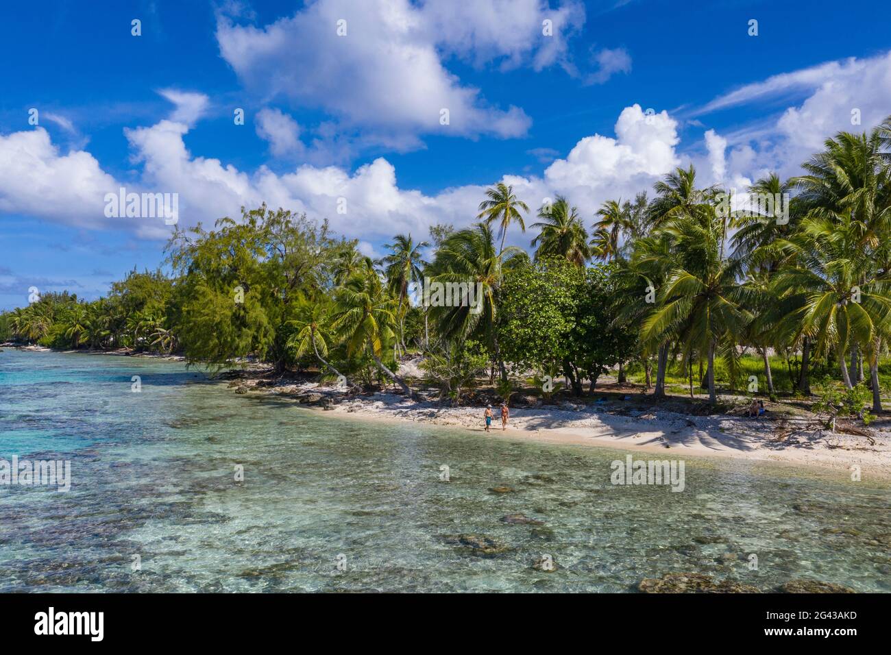 Aerial view of people relaxing on the coconut palm fringed beach ...