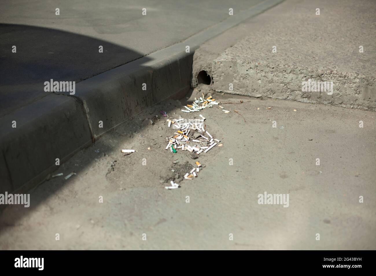 A pipe for draining water from the road. Clogged pipe on the side ...