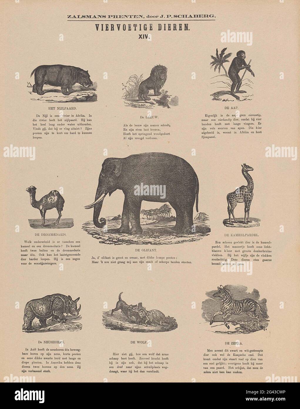 Four-footed animals; Salmans prints. Leaf with 9 performances of ...