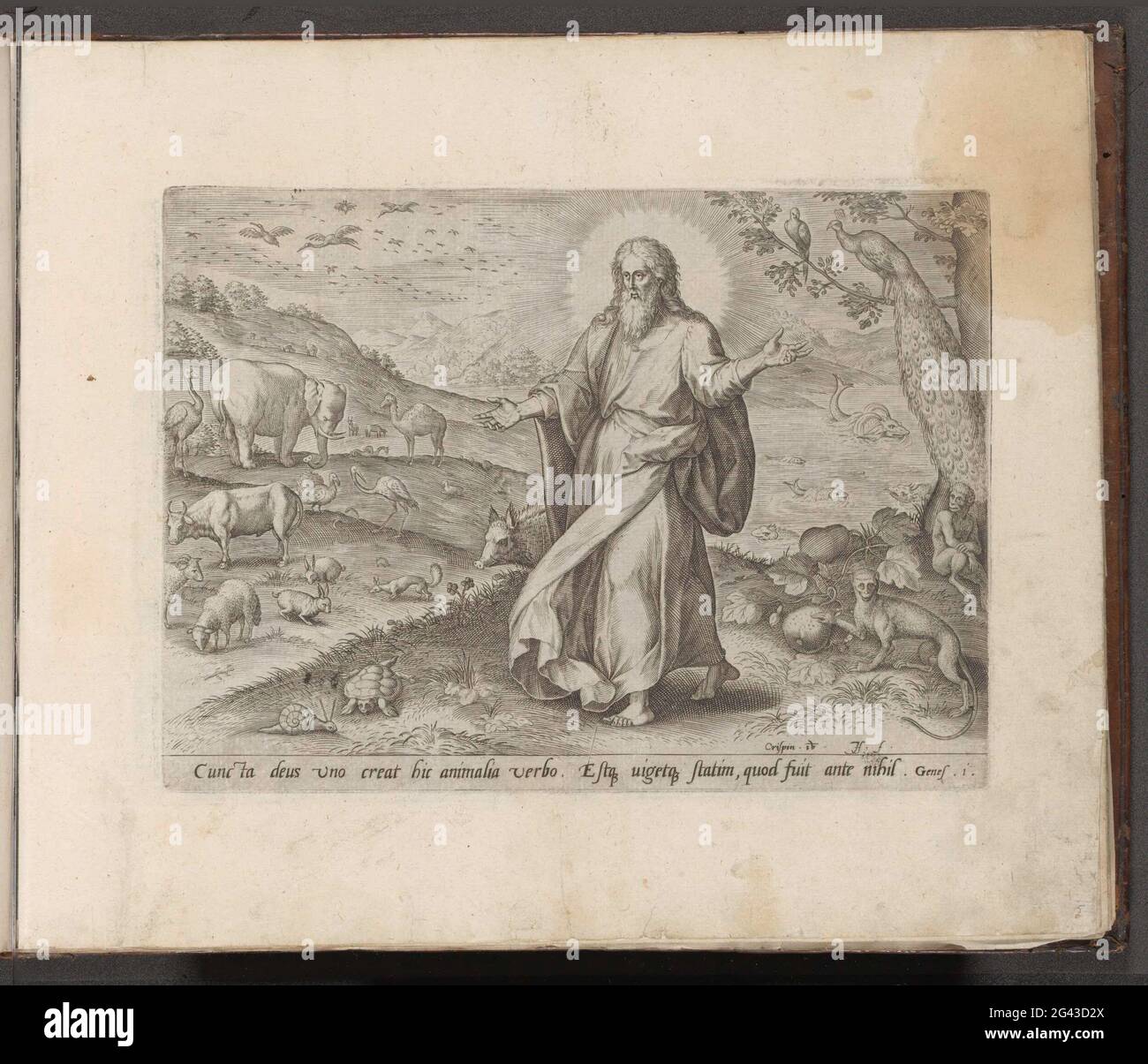 God creates the sheep hi-res stock photography and images - Alamy