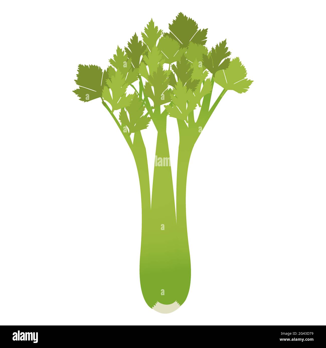 Crunchy veggie Stock Vector Images - Alamy