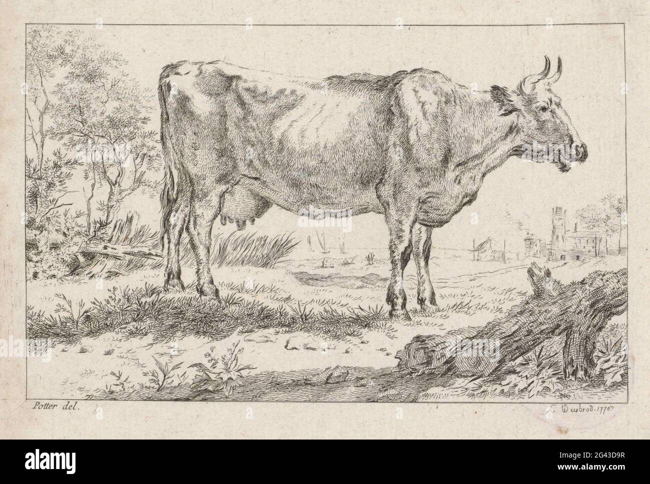 Standing cow Stock Photo - Alamy