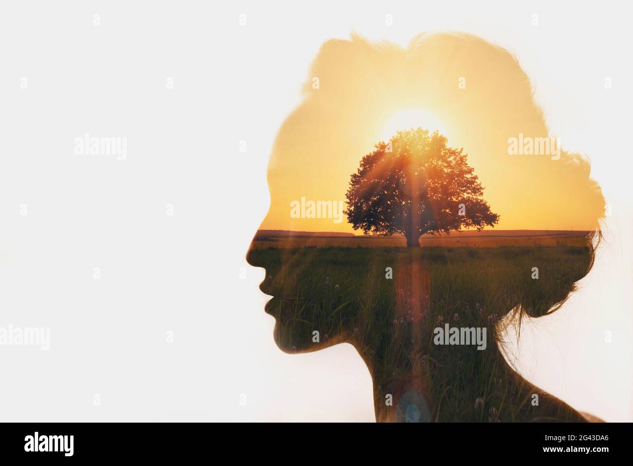 Personal development success concept hi-res stock photography and ...