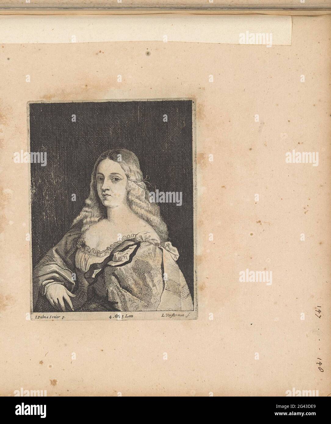 Violant hi-res stock photography and images - Alamy