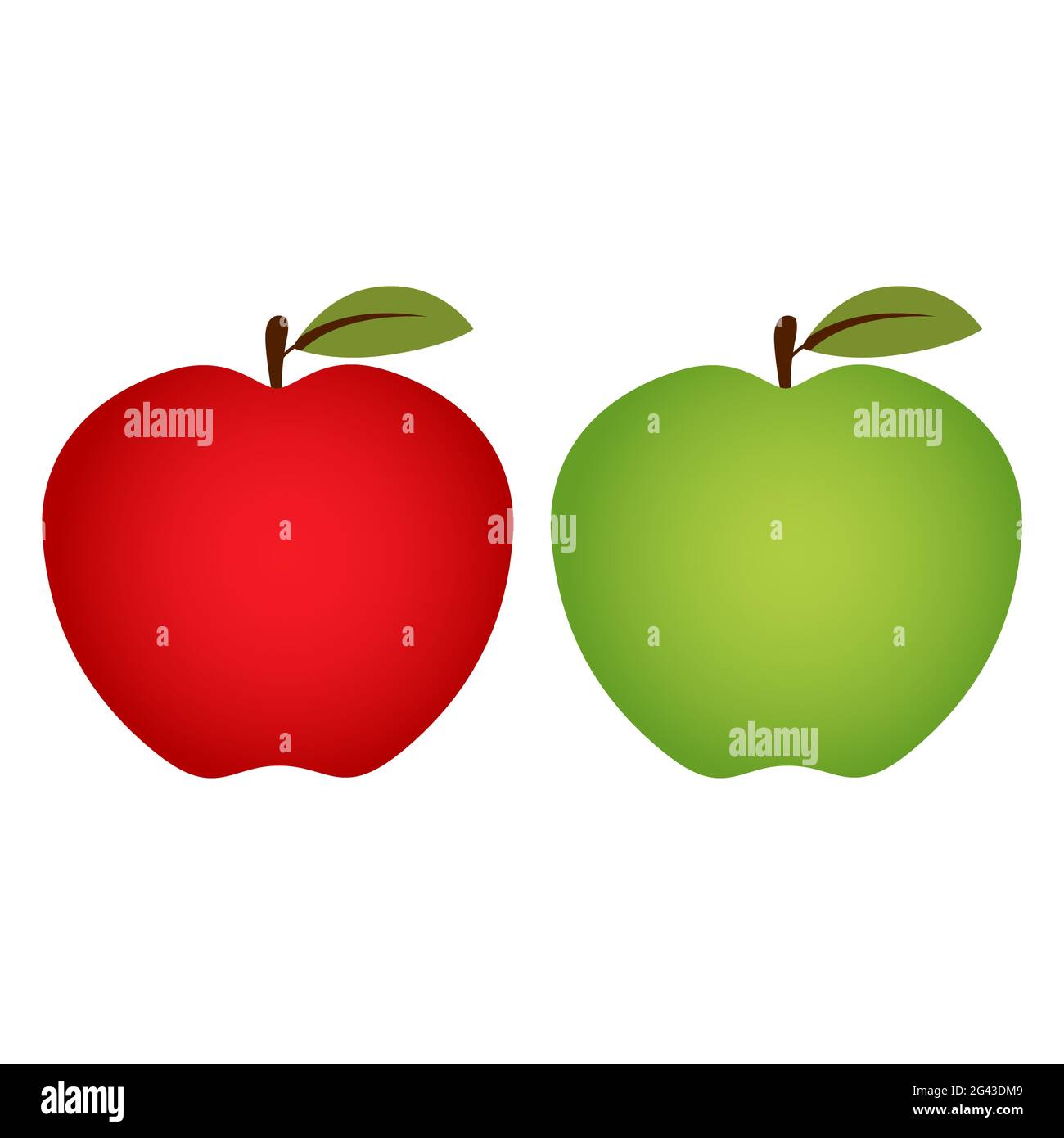 Red and green apples isolated on a white background Stock Vector Image ...