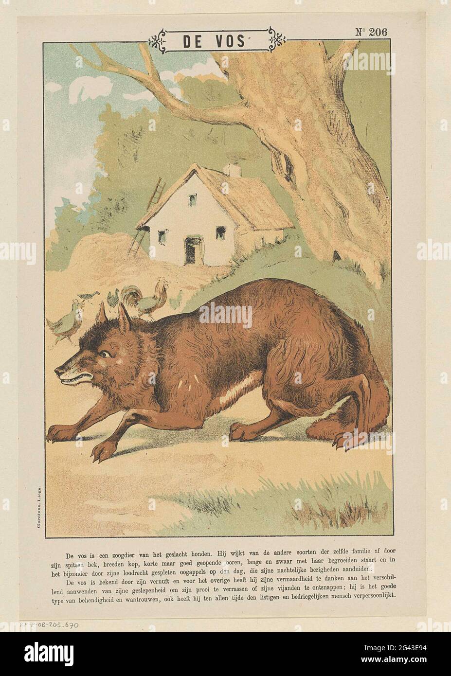 The Fox. Leaf with a big representation of a fox. A caption in the ...