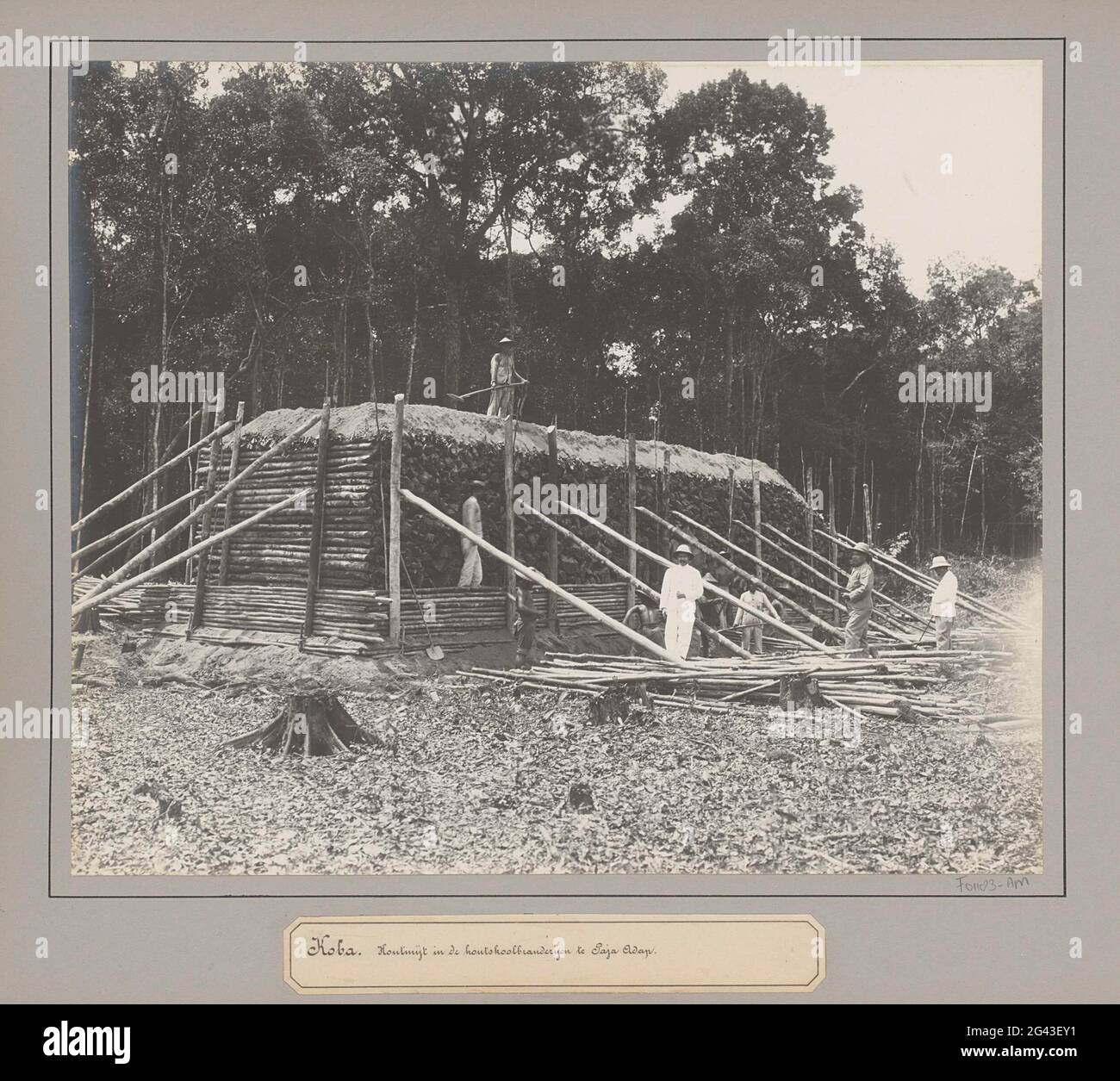 Wood mite hi-res stock photography and images - Alamy