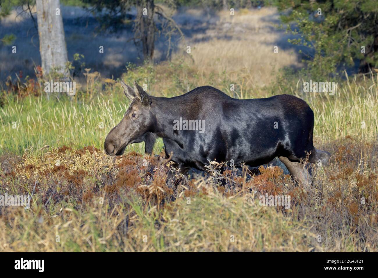 Tall rack hi-res stock photography and images - Alamy