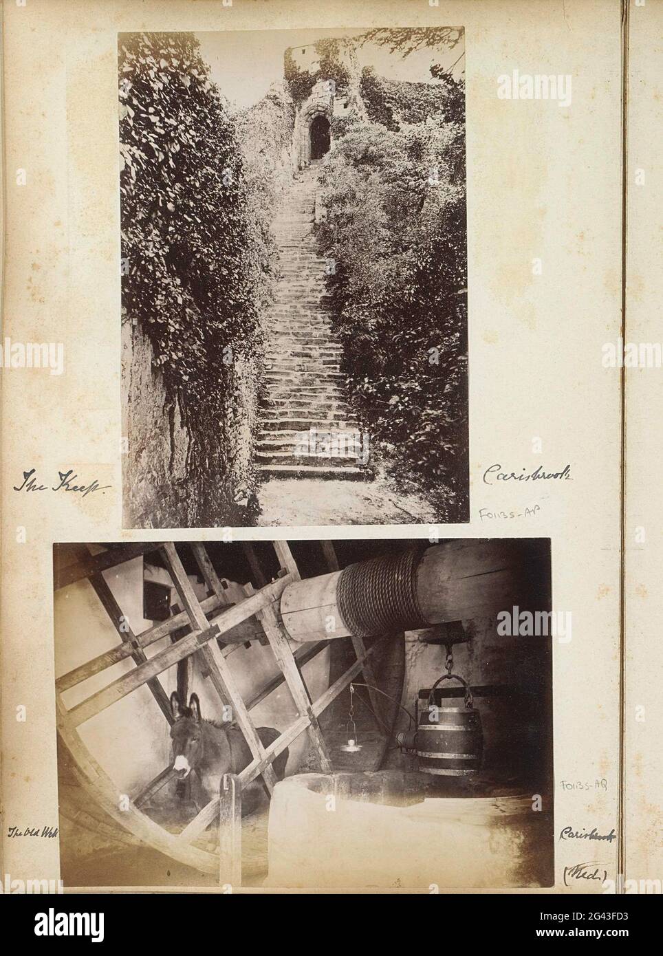 Carisbrooke castle donkey well hi-res stock photography and images - Alamy