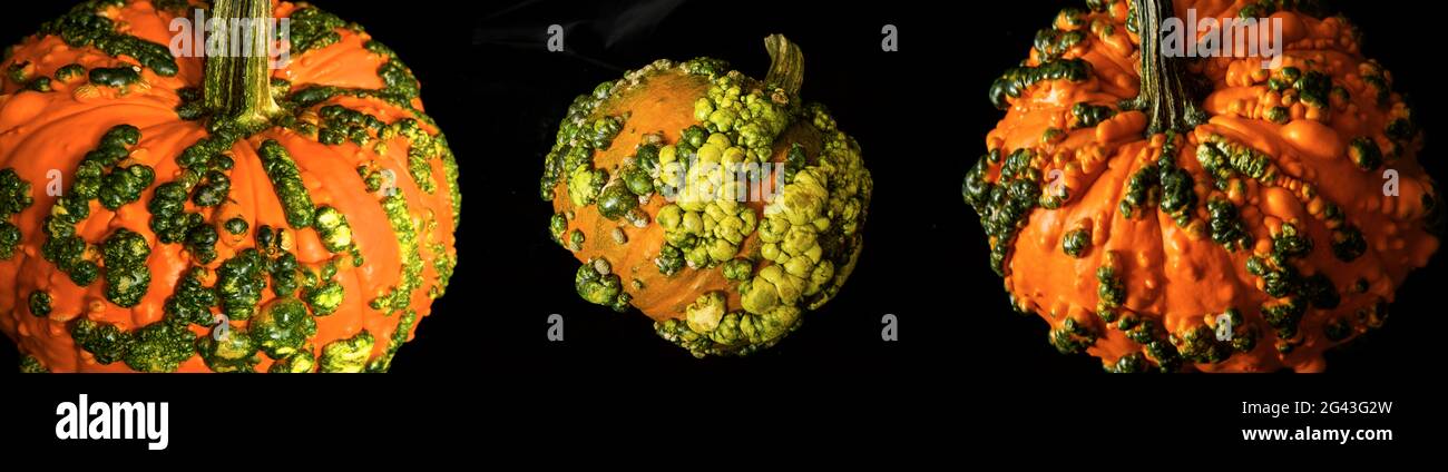 Knucklehead hi-res stock photography and images - Alamy