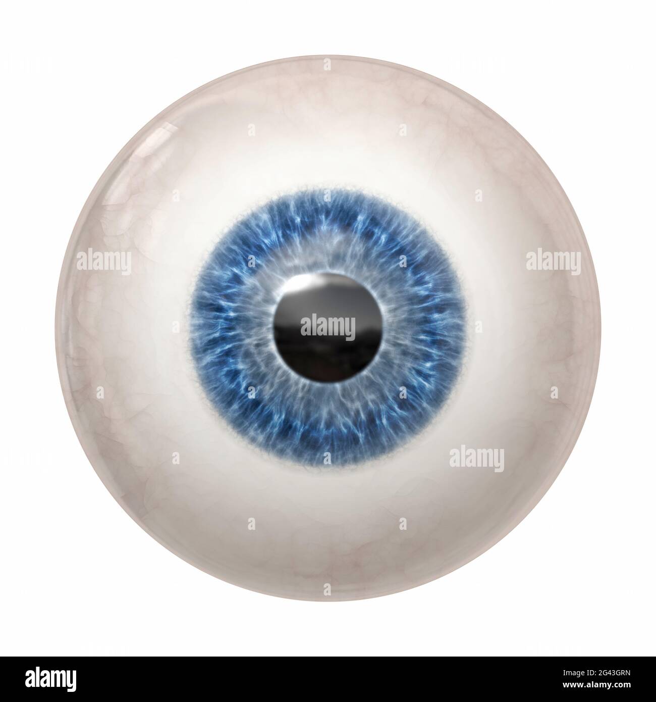 Eyeball lens iris Cut Out Stock Images & Pictures - Alamy