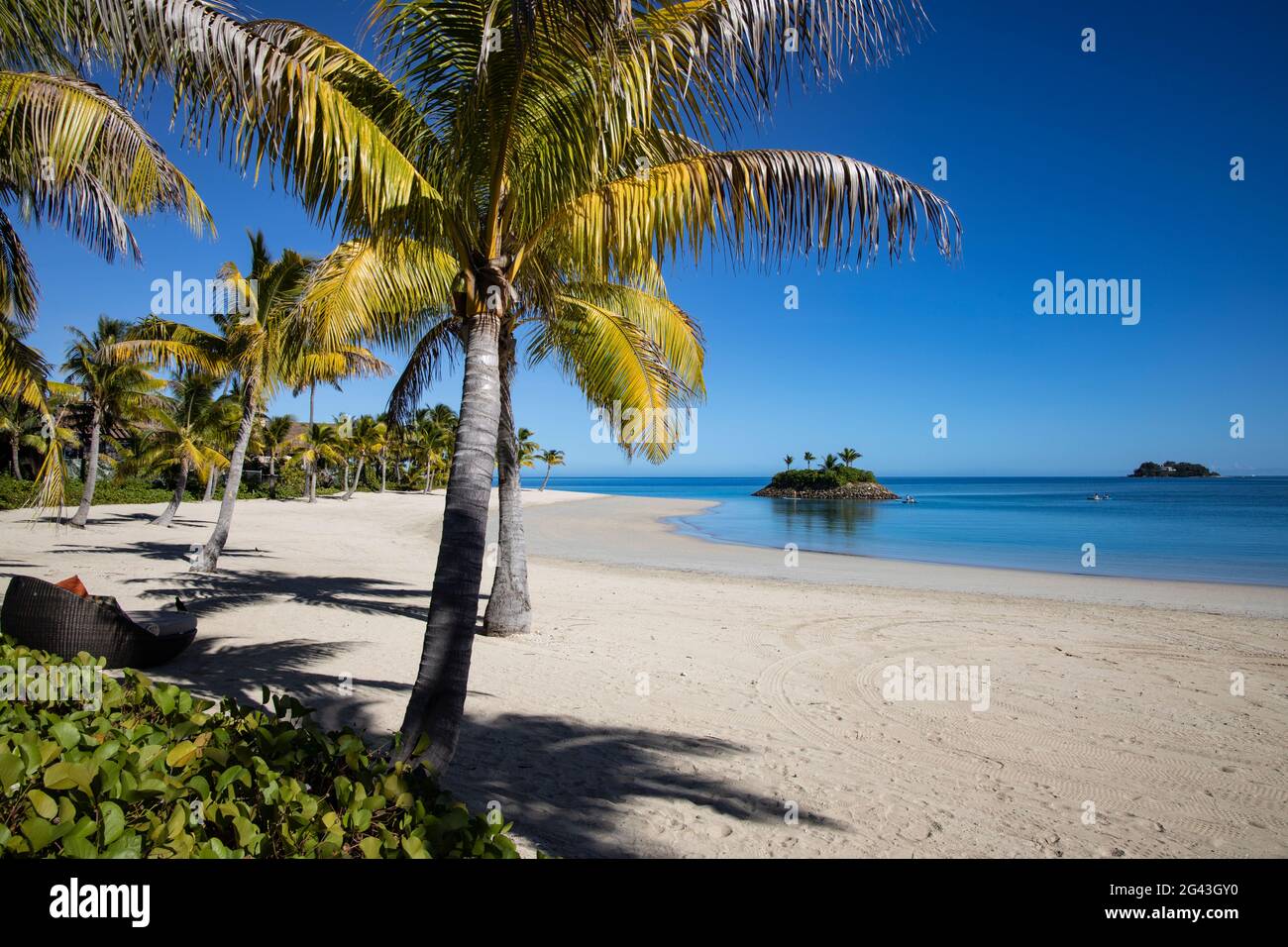 Coconut trees and beach at Six Senses Fiji Resort, Malolo Island ...